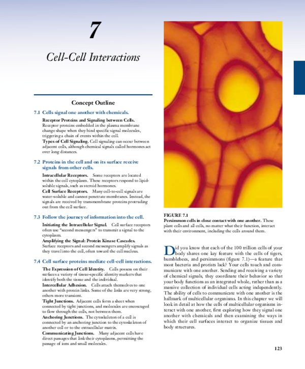 (PDF) Cell cell interactions