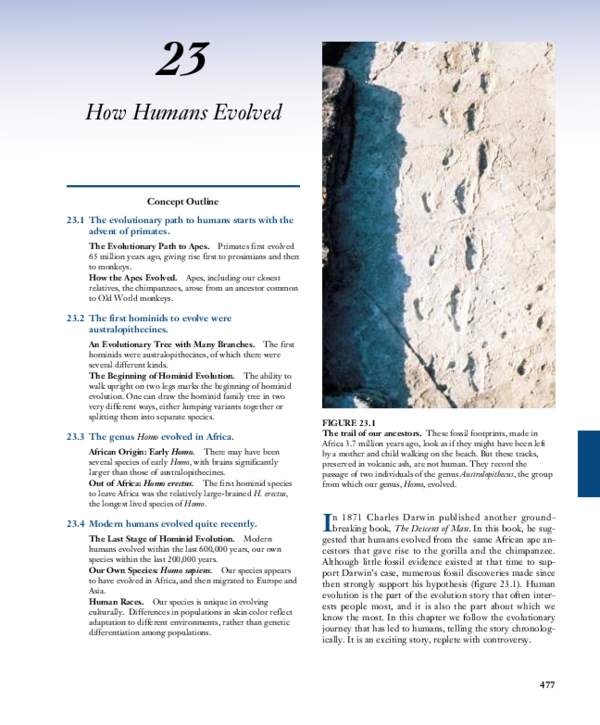 (PDF) How humans evolved