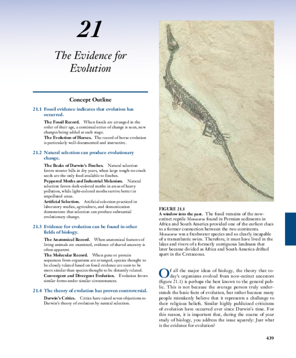 (PDF) The evidence for evolution