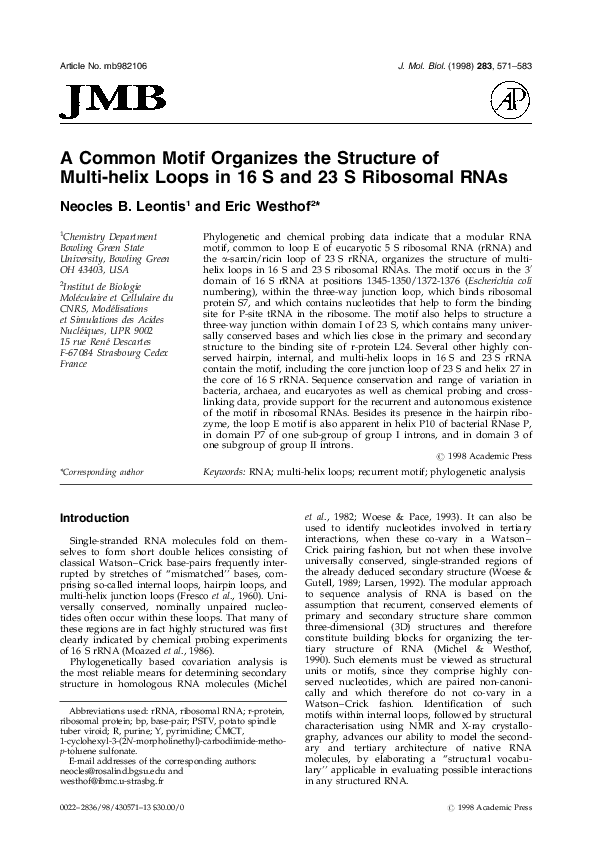 (PDF) A common motif organizes the structure of multi-helix loops in 16 ...