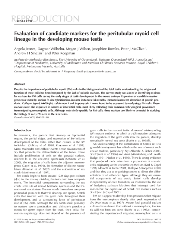 (PDF) Evaluation of candidate markers for the peritubular myoid cell ...