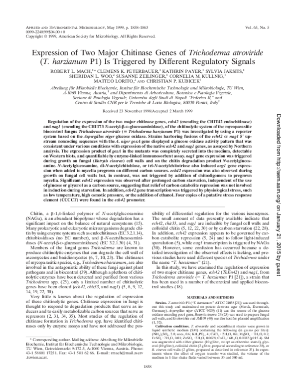 (PDF) Expression of Two Major Chitinase Genes of Trichoderma atroviride ...