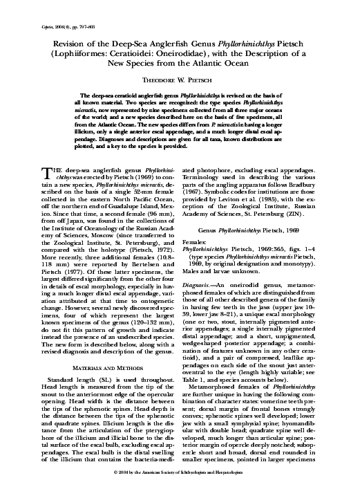 (PDF) Revision of the Deep-Sea Anglerfish Genus Phyllorhinichthys ...