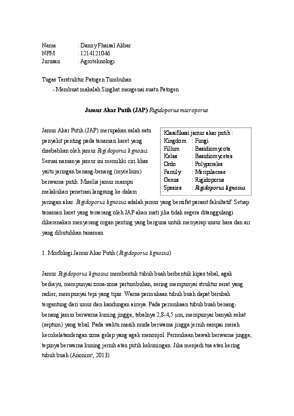 (DOC) Tugas Terstruktur JAP fix