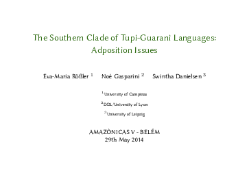 (PDF) The Southern Clade of Tupi-Guarani Languages: Adposition Issues