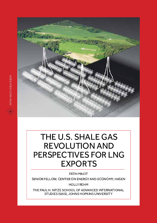 (PDF) The US Shale Gas Revolution and Perspectives for LNG Exports