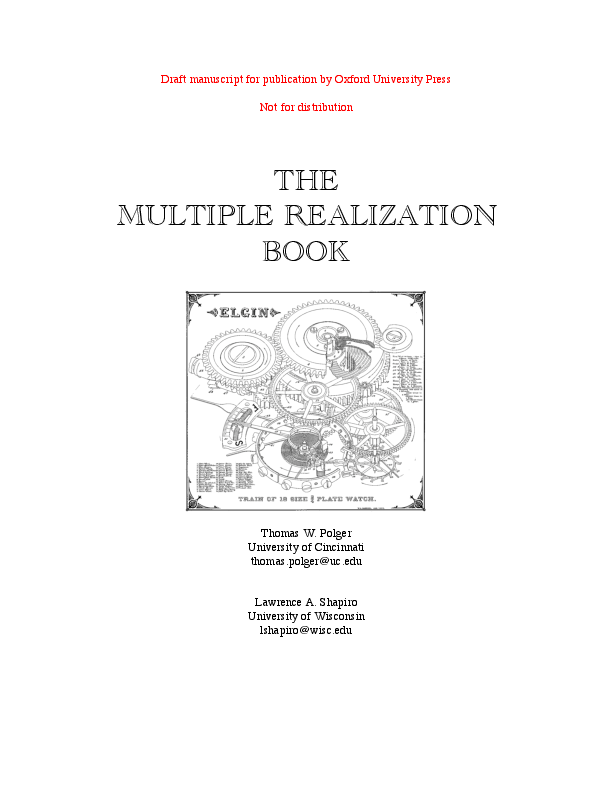 (PDF) The Multiple Realization Book