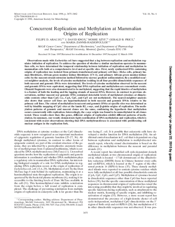 (PDF) Concurrent Replication and Methylation at Mammalian Origins of Replication