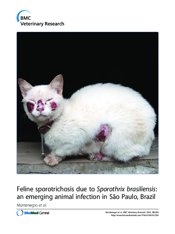 (PDF) Feline sporotrichosis due to Sporothrix brasiliensis: an emerging ...