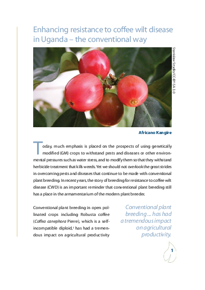 (PDF) Final publication of the Coffee Essay in Viewpoints by B4FA