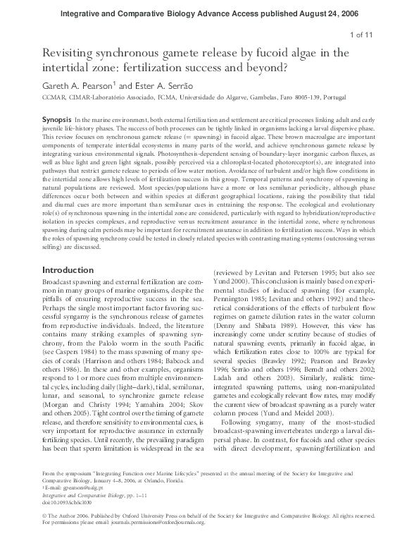 (PDF) Revisiting synchronous gamete release by fucoid algae in the ...