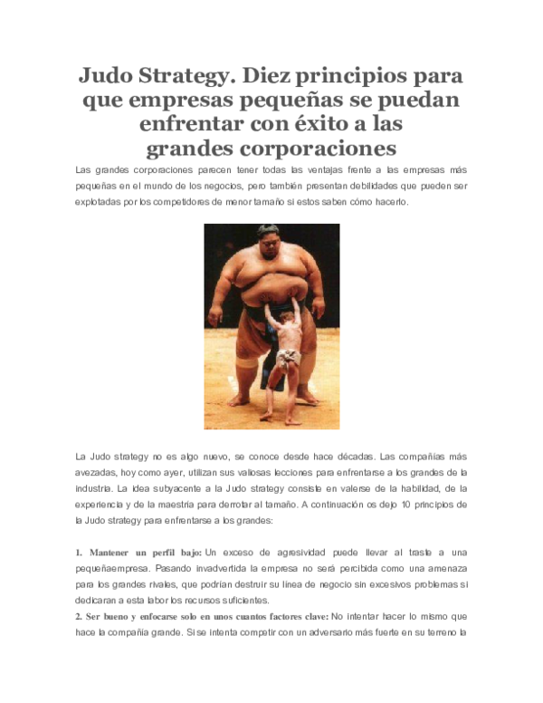 (PDF) JUDO Strategy