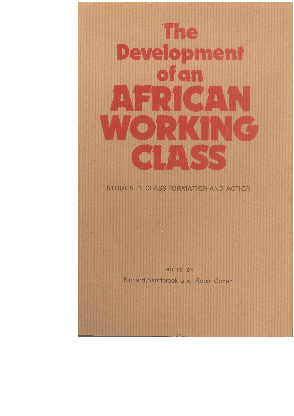 (PDF) The Development of an African Working Class: Studies in Class ...