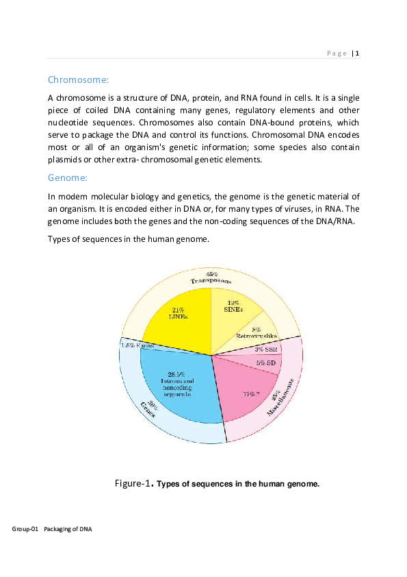 (PDF) Packaging of DNA