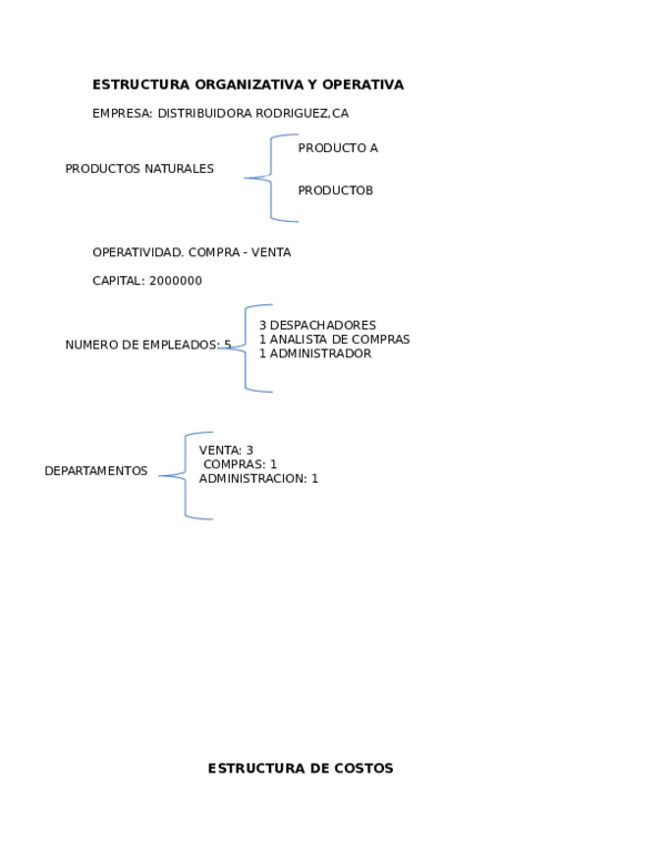 (DOC) ESTRUCTURA ORGANIZATIVA Y OPERATIVA