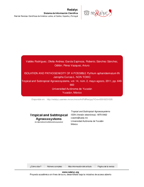 (PDF) AISLAMIENTO Y PATOGENICIDAD DE UN POSIBLE Pythium aphanidermatum EN Jatropha Curcas L. NO ...