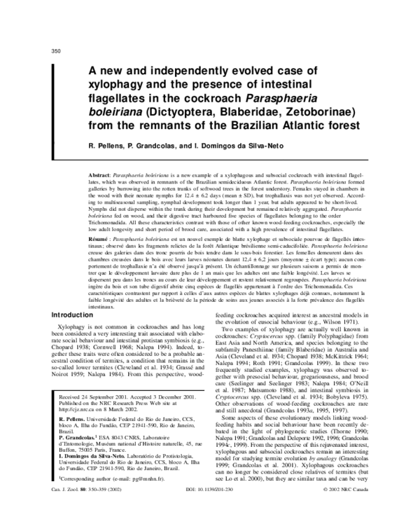 (PDF) Pellens R, Grandcolas P, Silva-Neto ID (2002) A new and ...