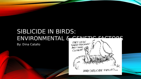 (PPT) Siblicide in Birds