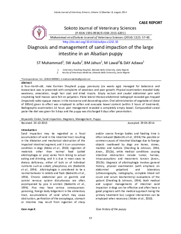 (PDF) Diagnosis & Management of Sand Impaction of the large intestine ...