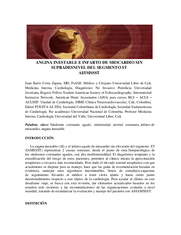 (PDF) ANGINA INESTABLE E INFARTO AGUDO DE MIOCARDIO SIN ELEVACIÓN DEL ...