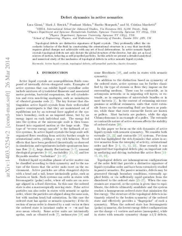 (PDF) Defect dynamics in active nematics