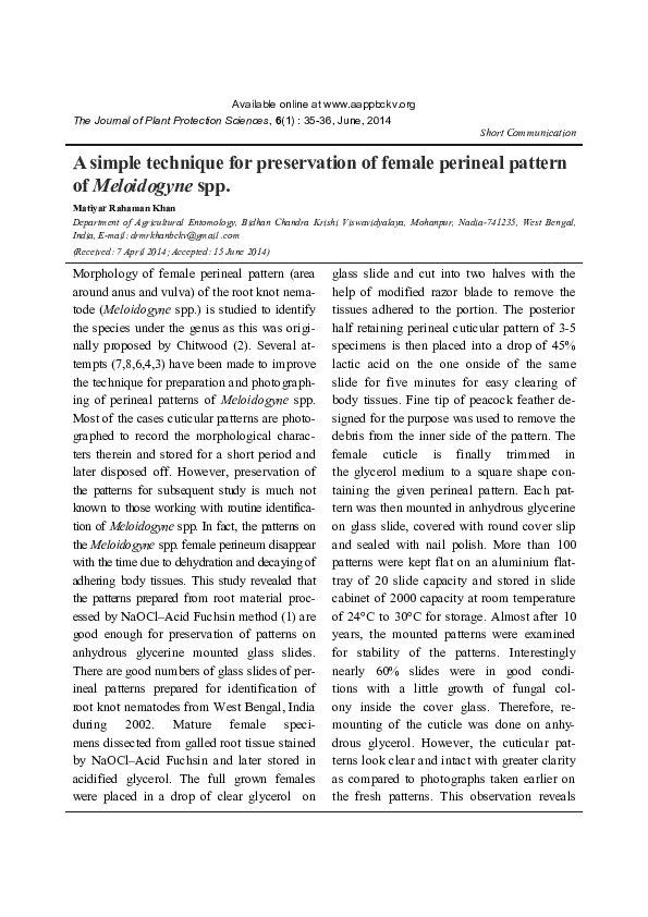 (PDF) A simple technique for preservation of female perineal pattern of ...