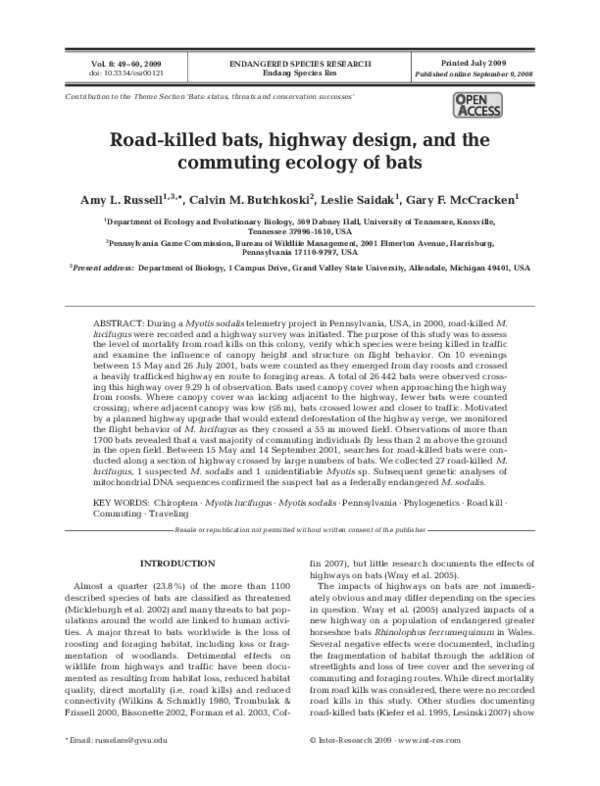(PDF) Road-killed bats, highway design, and the commuting ecology of bats