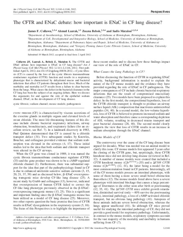 (PDF) The CFTR and ENaC debate: how important is ENaC in CF lung disease?