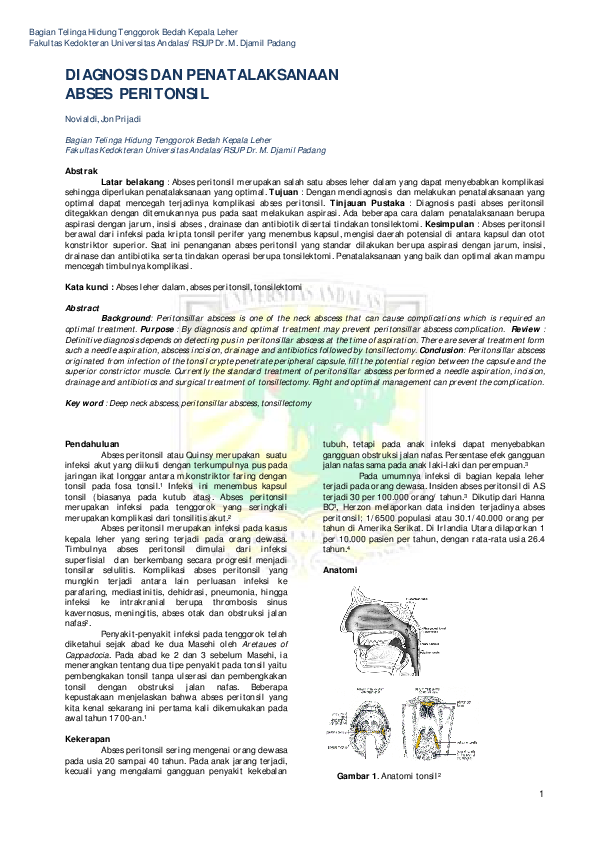 (PDF) Bagian DIAGNOSIS DAN PENATALAKSANAAN ABSES PERITONSIL
