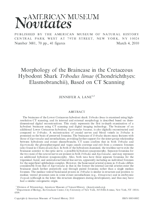 (PDF) Morphology of the braincase in the Cretaceous hybodont shark ...