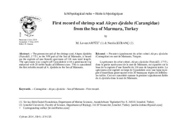 (PDF) First record of shrimp scad Alepes djedaba (Carangidae) from the ...
