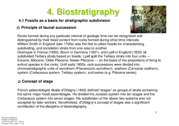 (PDF) Biostratigraphy