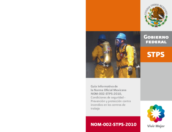 (PDF) STPS Secretaría del Trabajo y Previsión Social Dirección General ...