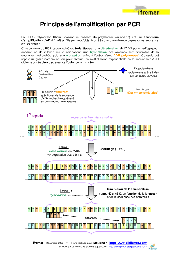 methode ece svt etape 1