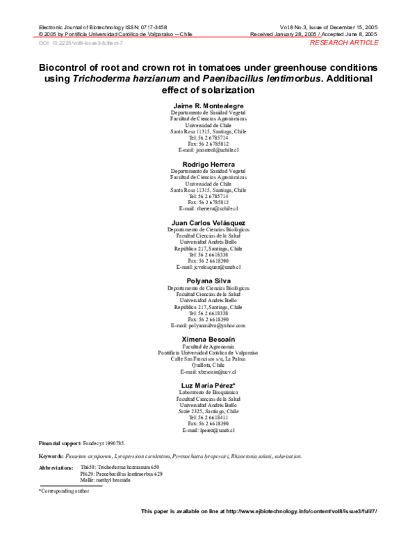 (PDF) Biocontrol of root and crown rot in tomatoes under greenhouse conditions using Trichoderma ...