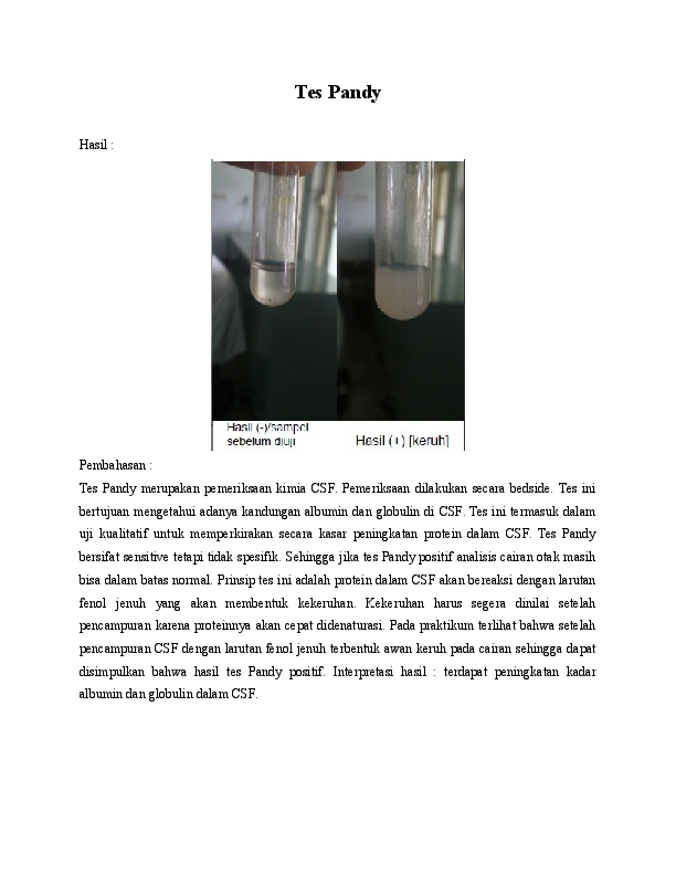 (DOC) Tes Pandy Hasil