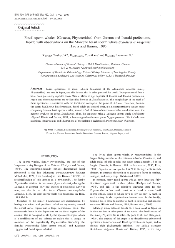 (PDF) Fossil sperm whales (Cetacea, Physeteridae) from Gunma and ...
