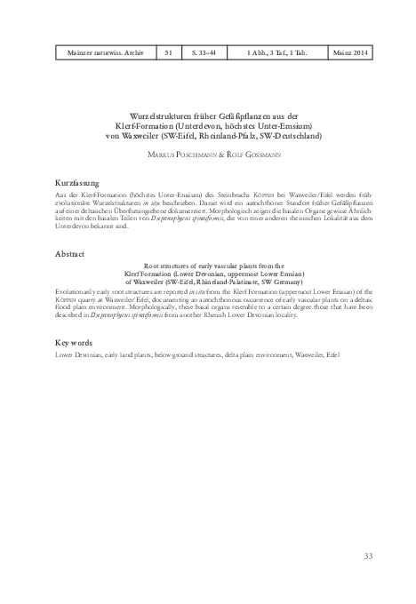 (PDF) Wurzelstrukturen früher Gefäßpflanzen aus der Klerf-Formation ...