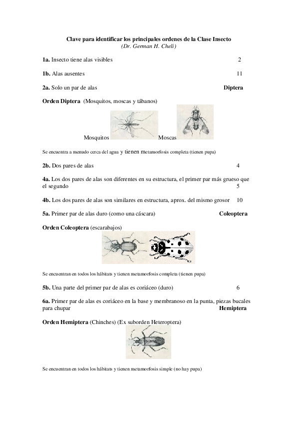 (PDF) Clave para identificar los principales ordenes de la Clase Insecto