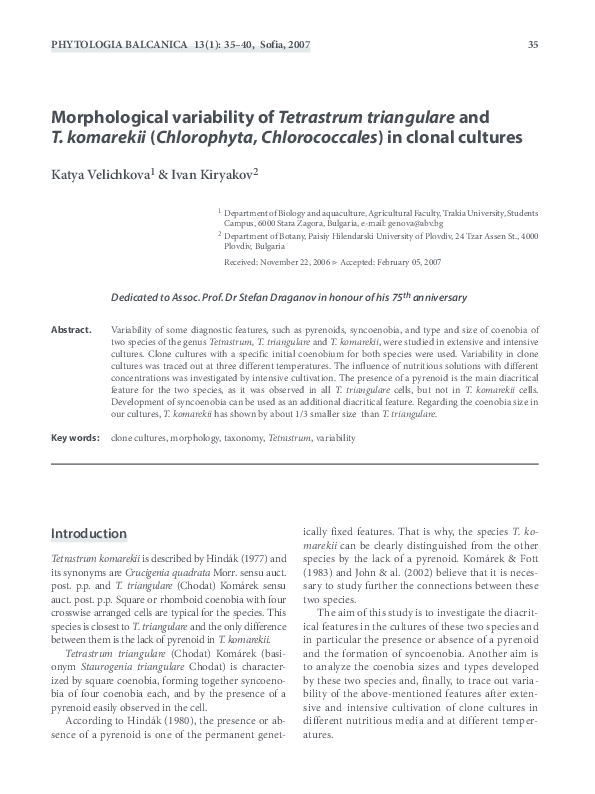 (PDF) Morphological variability of Tetrastrum triangulare and T ...