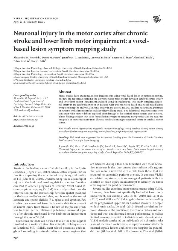 (PDF) Neuronal injury in the motor cortex after chronic stroke and ...