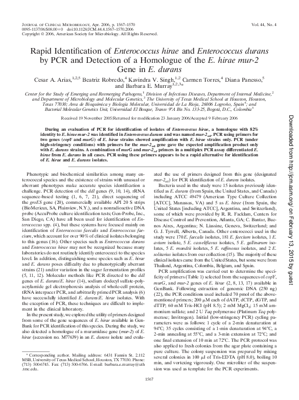 Pdf Rapid Identification Of Enterococcus Hirae And Enterococcus Durans By Pcr And Detection Of