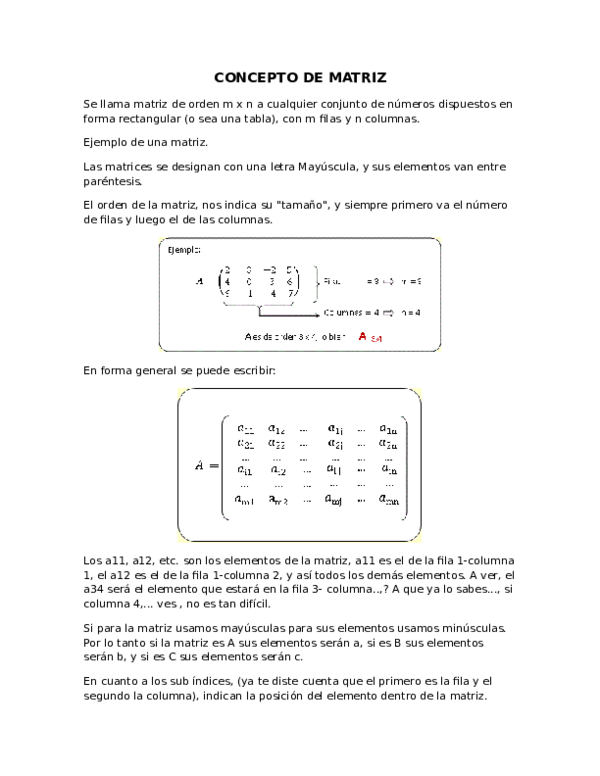 (DOC) CONCEPTO DE MATRIZ