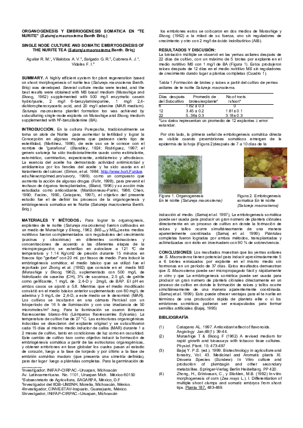 (PDF) ORGANOGENESIS Y EMBRIOGENESIS SOMATICA EN TE NURITE