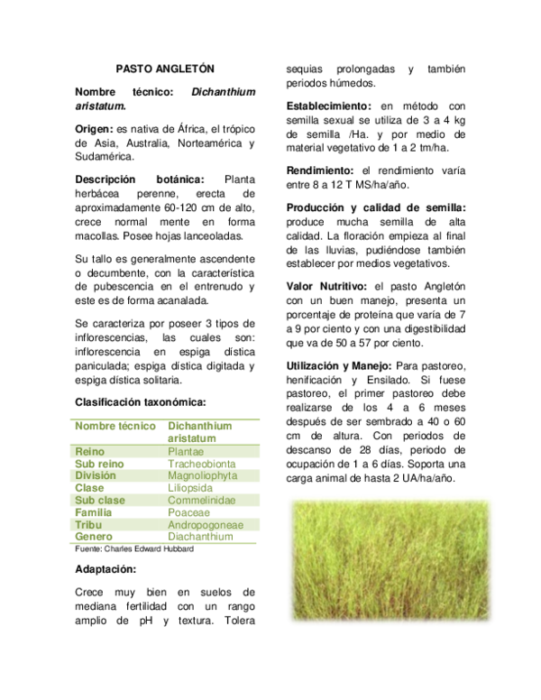 (PDF) PASTO ANGLETÓN