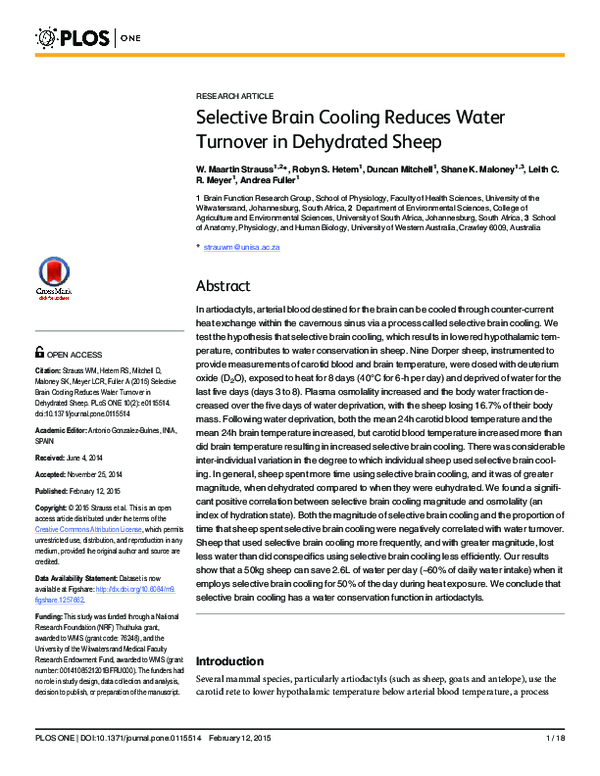 (PDF) Selective Brain Cooling Reduces Water Turnover in Dehydrated Sheep