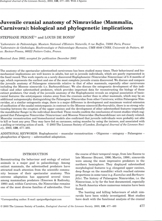 (PDF) Juvenile cranial anatomy of Nimravidae (Mammalia, Carnivora ...