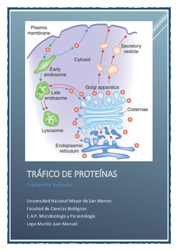 (PDF) Tráfico de Proteínas: Tipo Vesicular