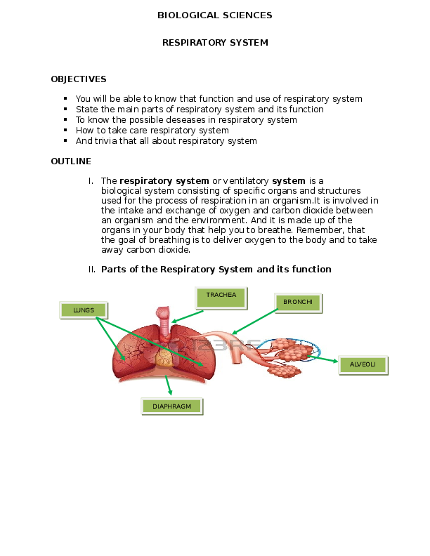 biology lab report outline