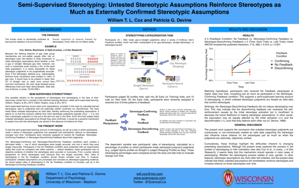 (PDF) Semi-Supervised Stereotyping: Untested Stereotypic Assumptions ...